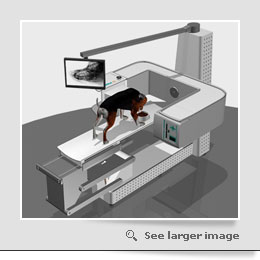 FIDEX Multi-Modality Veterinary CR/CT/Fluoroscopy Scanner from Animage ...